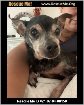 - California Dog Rescue - ADOPTIONS - Rescue Me!