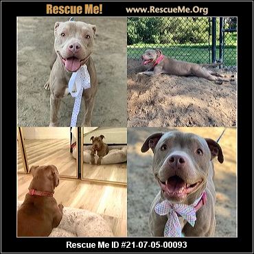 - California Dog Rescue - ADOPTIONS - Rescue Me!