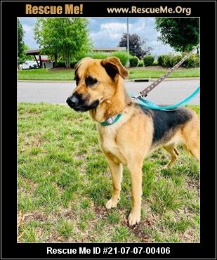 - Virginia Dog Rescue - ADOPTIONS - Rescue Me!