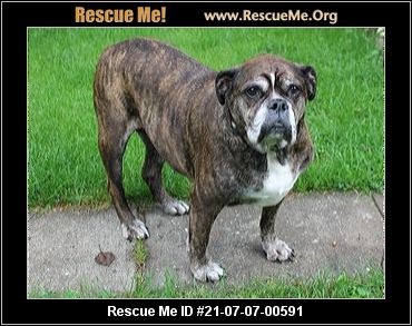 - Fur Fun Rescue Inc - Lisbon, IA - AVAILABLE PETS