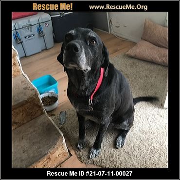 - Utah Dog Rescue - ADOPTIONS - Rescue Me!
