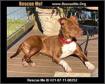 - Tennessee Mutt Rescue - ADOPTIONS - Rescue Me!