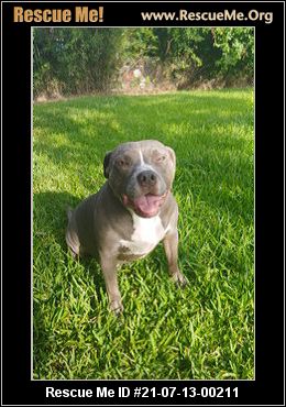 - Texas Pit Bull Rescue - ADOPTIONS - Rescue Me!