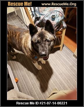 - Oklahoma Dog Rescue - ADOPTIONS - Rescue Me!