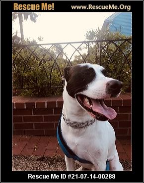 - Oregon Dog Rescue - ADOPTIONS - Rescue Me!