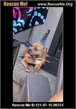 - Nevada Dog Rescue - ADOPTIONS - Rescue Me!