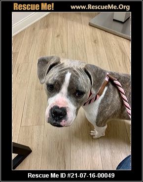 - Georgia Dog Rescue - ADOPTIONS - Rescue Me!