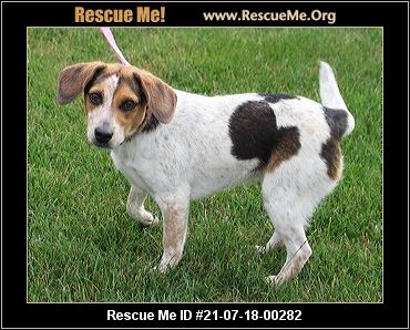 - Fur Fun Rescue Inc - Lisbon, IA - AVAILABLE PETS