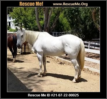 - California Horse Rescue - ADOPTIONS - Rescue Me!