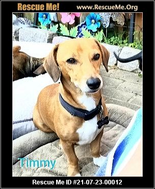 - Pennsylvania Beagle Rescue - ADOPTIONS - Rescue Me!