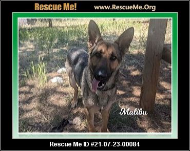 - Oregon Dog Rescue - ADOPTIONS - Rescue Me!