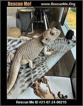 - Washington Reptile/Amphibian Rescue - ADOPTIONS - Rescue Me!