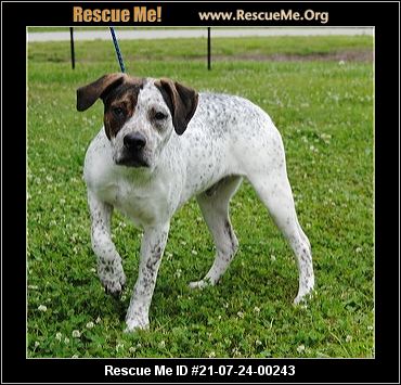 - Kansas Dog Rescue - ADOPTIONS - Rescue Me!