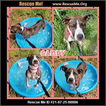 - Mercy Rescue Haven - SC - AVAILABLE PETS