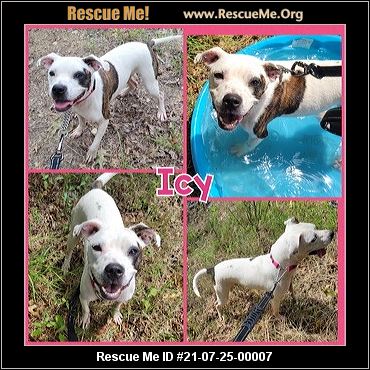 - Mercy Rescue Haven - SC - AVAILABLE PETS