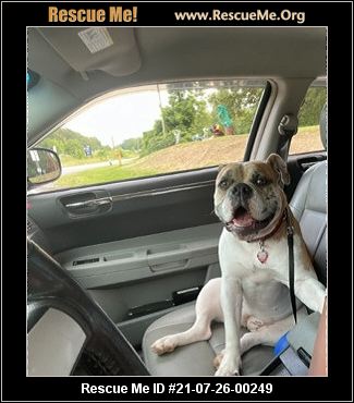 - Virginia Dog Rescue - ADOPTIONS - Rescue Me!