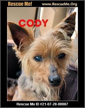 - North Carolina Dog Rescue - ADOPTIONS - Rescue Me!