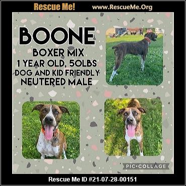 - New York Boxer Rescue - ADOPTIONS - Rescue Me!