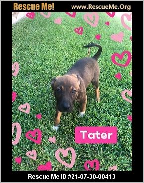 - Texas Mutt Rescue - ADOPTIONS - Rescue Me!