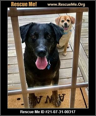 - New Jersey Dog Rescue - ADOPTIONS - Rescue Me!