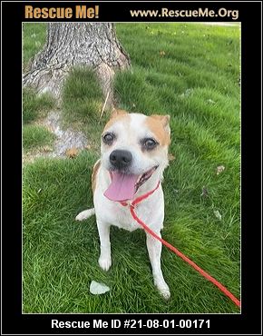 - Alabama Mutt Rescue - ADOPTIONS - Rescue Me!