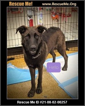 - Oregon Dog Rescue - ADOPTIONS - Rescue Me!