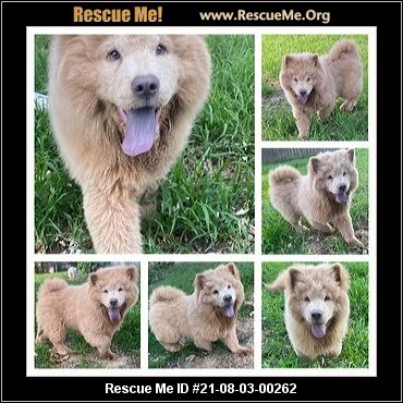 - Oklahoma Dog Rescue - ADOPTIONS - Rescue Me!