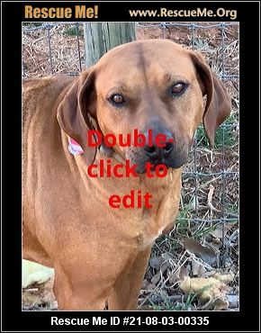 - Oklahoma Dog Rescue - ADOPTIONS - Rescue Me!