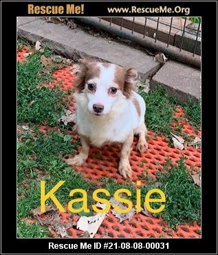 - Minnesota Dog Rescue - ADOPTIONS - Rescue Me!