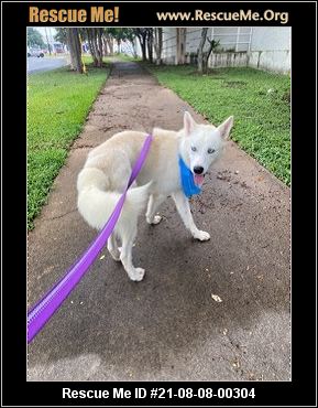 - Texas Dog Rescue - ADOPTIONS - Rescue Me!