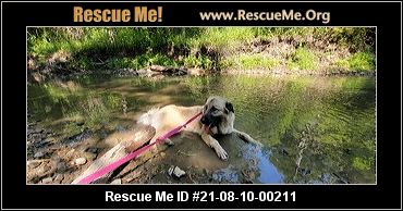 - Wisconsin Dog Rescue - ADOPTIONS - Rescue Me!