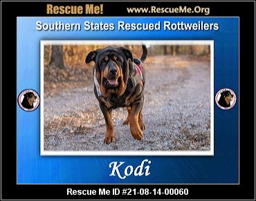 - Virginia Rottweiler Rescue - ADOPTIONS - Rescue Me!
