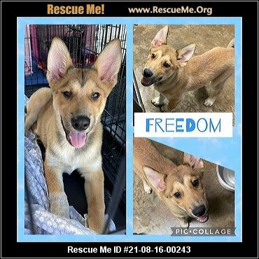 - Oklahoma Dog Rescue - ADOPTIONS - Rescue Me!