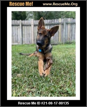 - Texas German Shepherd Rescue - ADOPTIONS - Rescue Me!
