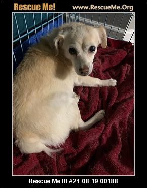 - Tennessee Dog Rescue - ADOPTIONS - Rescue Me!