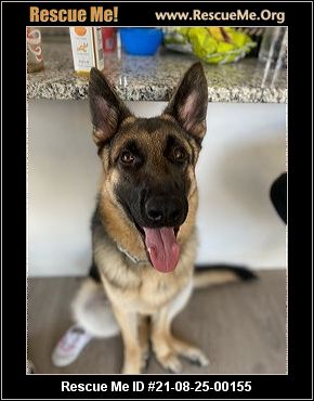 - Wisconsin Dog Rescue - ADOPTIONS - Rescue Me!