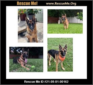 - Florida Dog Rescue - ADOPTIONS - Rescue Me!