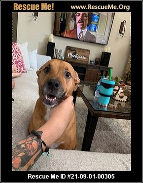 - Texas Mutt Rescue - ADOPTIONS - Rescue Me!