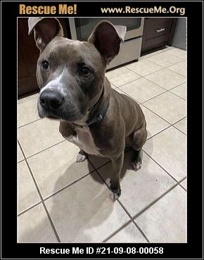 - Texas Mutt Rescue - ADOPTIONS - Rescue Me!