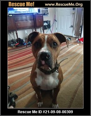 - Oregon Mutt Rescue - ADOPTIONS - Rescue Me!