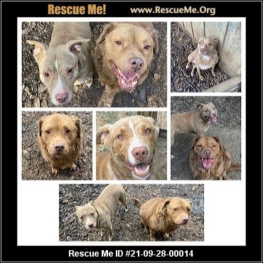 - Luvable Furry Friends Rescue - Rootstown, OH - AVAILABLE PETS