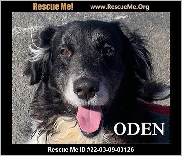 - Pennsylvania Border Collie Rescue - ADOPTIONS - Rescue Me!