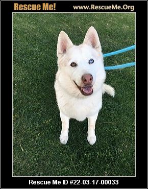 - Oregon Dog Rescue - ADOPTIONS - Rescue Me!