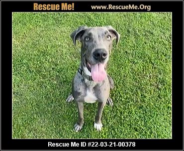 - Alabama Dog Rescue - ADOPTIONS - Rescue Me!