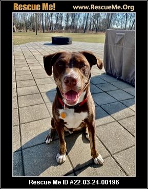 - Pennsylvania Dog Rescue - ADOPTIONS - Rescue Me!