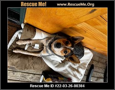 - West Virginia Dog Rescue - ADOPTIONS - Rescue Me!