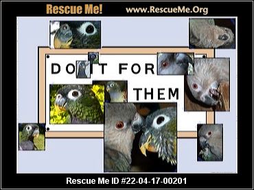 - Washington Pet Bird Rescue - ADOPTIONS - Rescue Me!