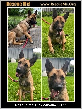 - Pennsylvania German Shepherd Rescue - ADOPTIONS - Rescue Me!