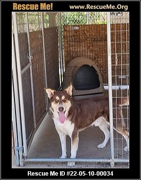 - Alaska Dog Rescue - ADOPTIONS - Rescue Me!