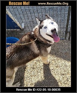 - Alaska Dog Rescue - ADOPTIONS - Rescue Me!